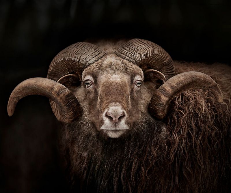 Vision og værdier • Se mere her >> | Carl Ras